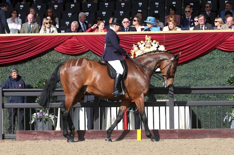 ROR Parade | Champion Day | Cheltenham Festival