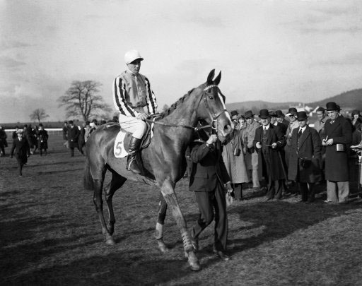 Gold Cup Winners | Hall of Fame | Cheltenham Racecourse