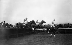 Gold Cup Winners | Hall of Fame | Cheltenham Racecourse