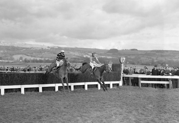 Gold Cup Winners & Results | Cheltenham Racecourse