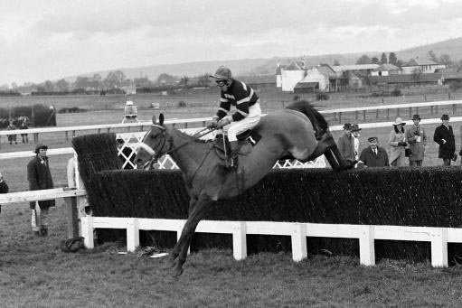 Gold Cup Winners | Hall of Fame | Cheltenham Racecourse