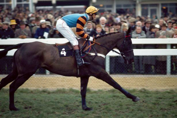Gold Cup Winners & Results | Cheltenham Racecourse