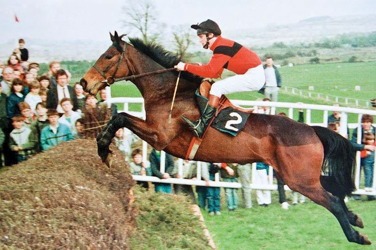 Gold Cup Winners & Results | Cheltenham Racecourse