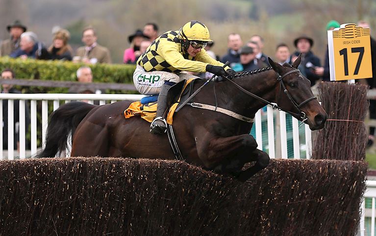 Gold Cup Winners & Results | Cheltenham Racecourse